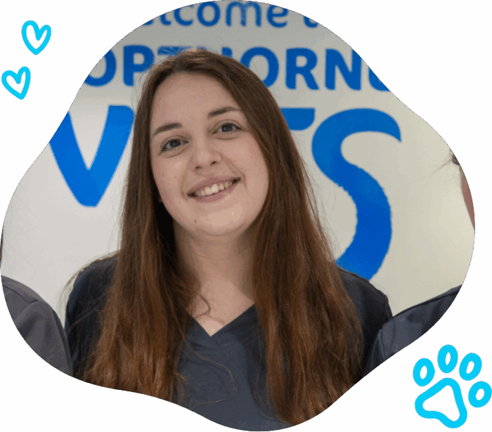 Prices | Copthorne Vets